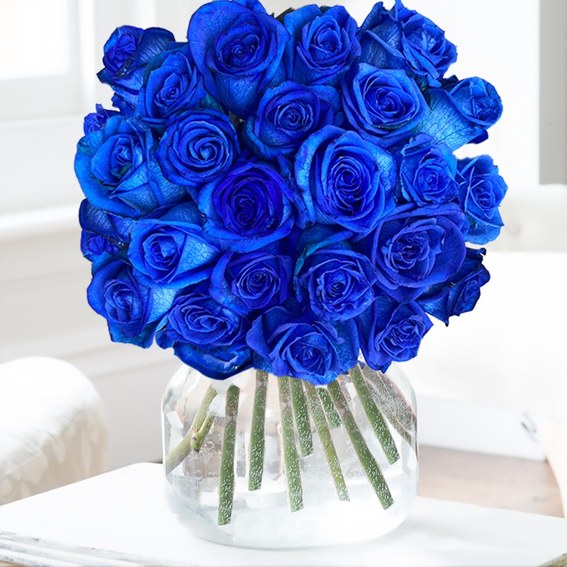 Blue Roses