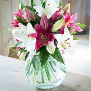 Flowers & Plants | Flowers Online | Blossoming Gifts